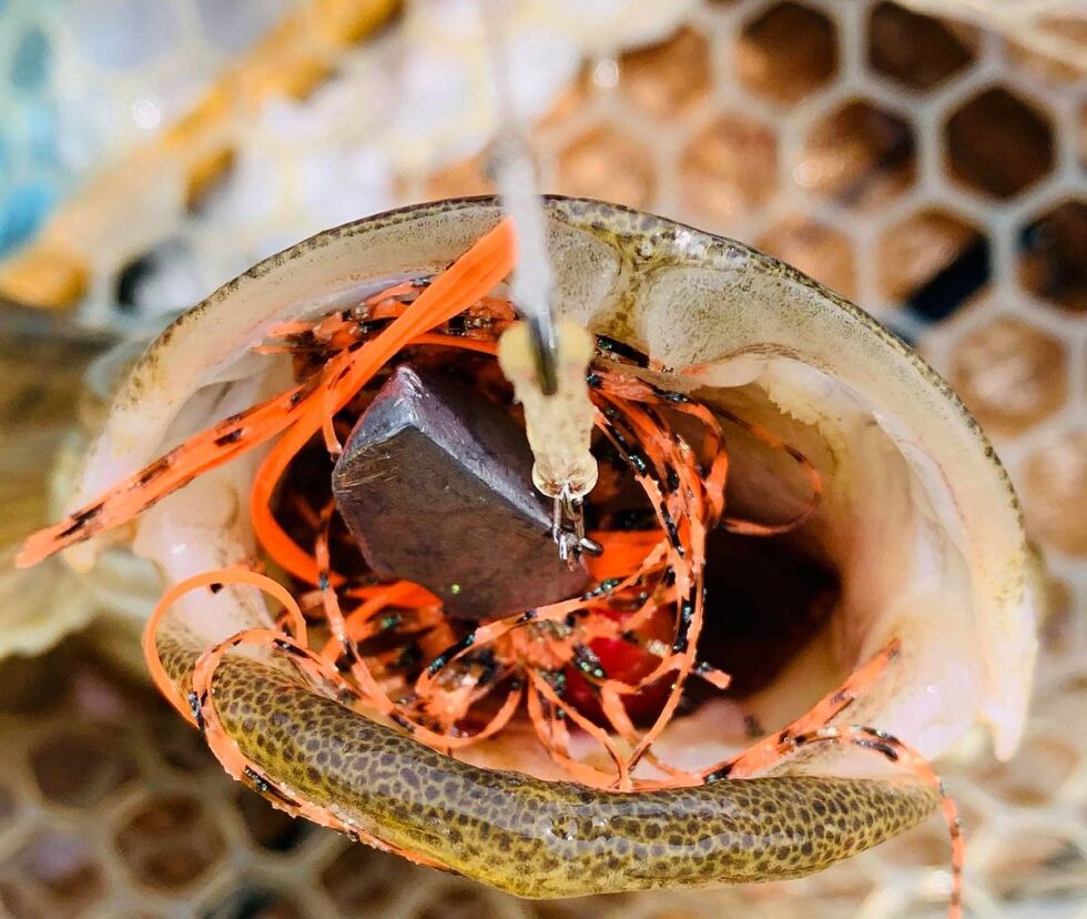 ルアーマゴチ（テンヤマゴチ）の釣り方解説！タックル・仕掛けのおすすめを紹介！ | ORETSURI